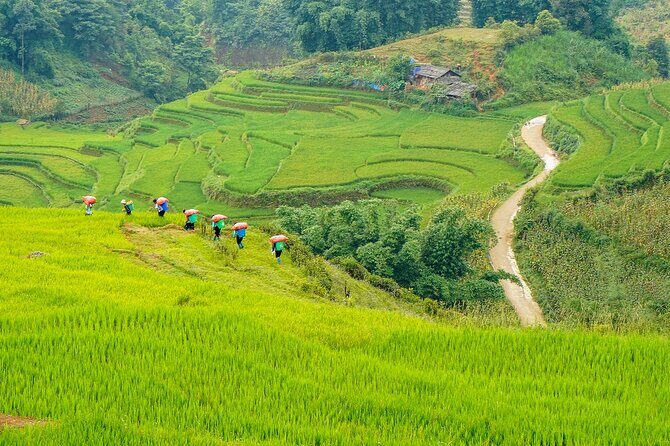 Sapa Trekking & Homestay 2 Days 1 Night - Considerations for Potential Participants