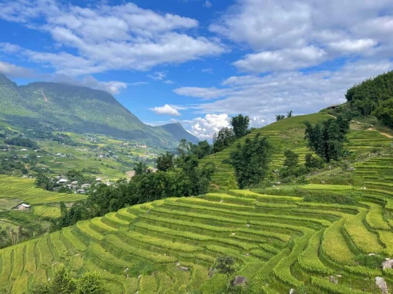 Sapa: Trekking Sapa One Day With Group Tour - Frequently Asked Questions