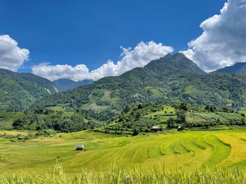Sapa: Trekking Through Terraced Rice Fields & Valley 1 Day - Practical Tips for Travelers