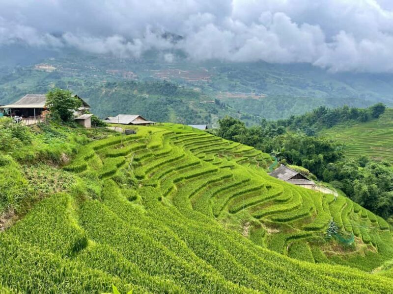 Sapa: Trekking Through Terraced Rice Fields & Valley 1 Day - FAQ