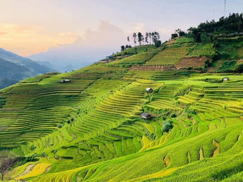 Sapa: Trekking to Y Linh Ho, Lao Chai & Ta Van Villages - A Closer Look at the Trekking Experience