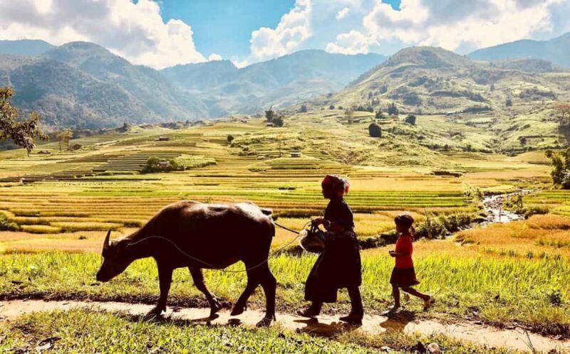 Sapa: Trekking to Y Linh Ho, Lao Chai & Ta Van Villages - Details That Matter