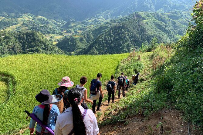 Sapa Trekking Tour 2 Days 1 Night With Local Guide - Quality of Guides and Cultural Insights