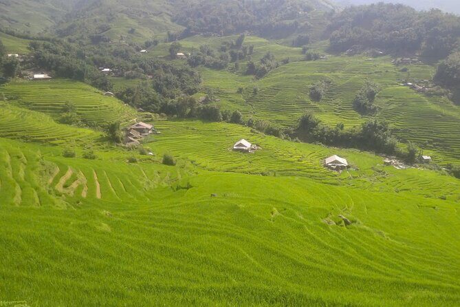Sapa Trekking Tour to Y Linh Ho & Lao Chai with Local Guide - Why This Tour Is Worth Considering