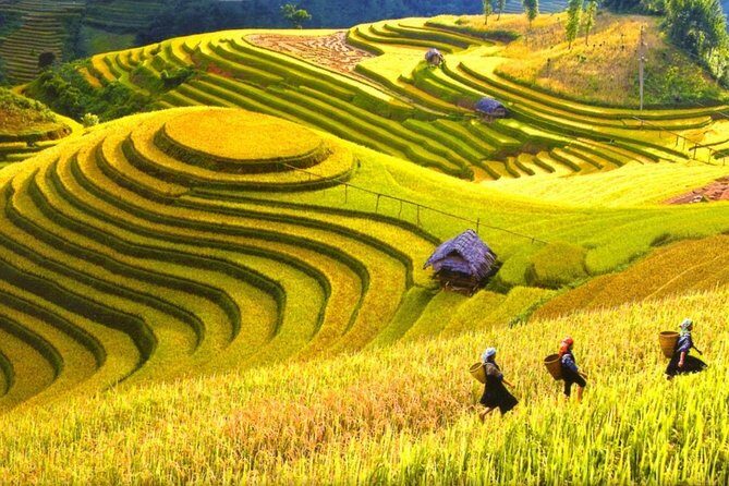 Sapa Trekking Tours - 2 Days 1 Night Stay At Homestay - An In-Depth Look at the Sapa Trekking Tour