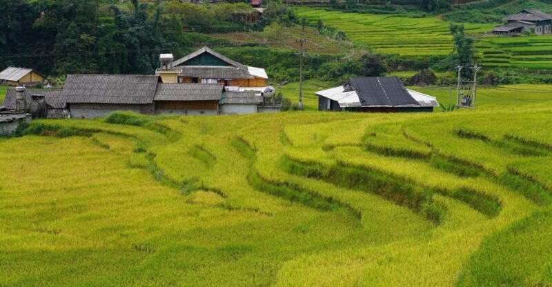 Sapa Trip to Y Linh Ho - Lao Chai - Ta Van - Cat Cat Village - Who Will Love This Tour?