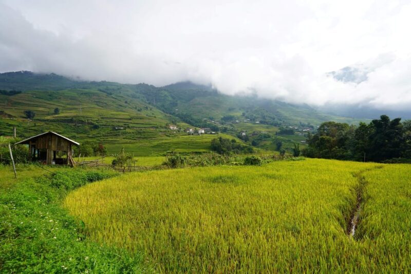 Sapa Trip to Y Linh Ho - Lao Chai - Ta Van - Cat Cat Village - The Sum Up