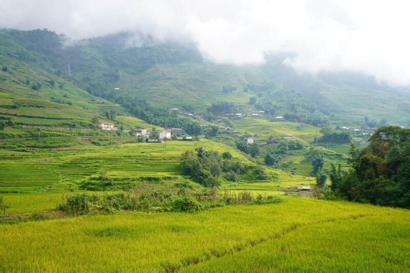 Sapa Trip to Y Linh Ho - Lao Chai - Ta Van - Cat Cat Village - FAQ