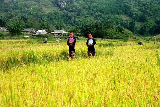 Sapa Valley Trek and Homestay - 3D2N Private Tour - Who Would Love This Tour?