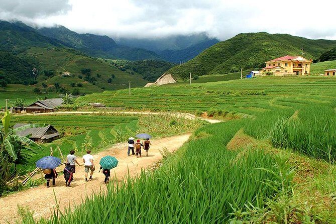 Sapa Village Trekking 1 Day Trip - Key Points