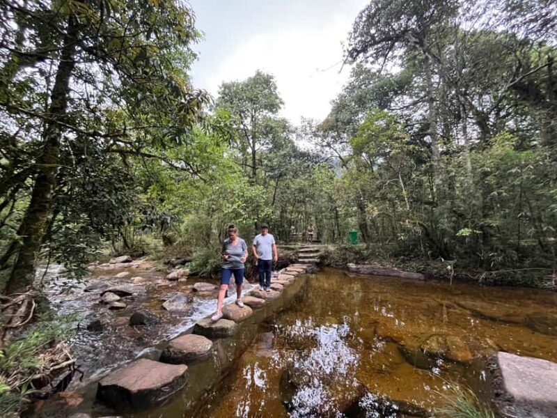 Sapa: Waterfalls, Tea Farm, and Cave Full-Day Tour by Car - FAQ