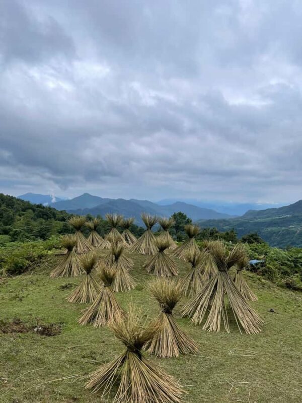 Sapa: Y Linh Ho - Lao Chai and Ta Van Villages Trek Day Tour - Practical Details and Tips