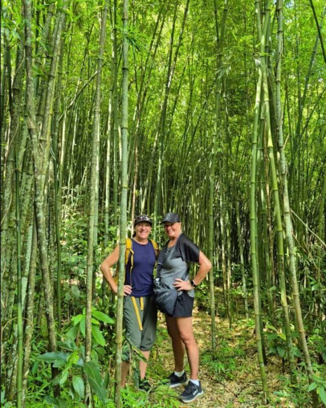 Sapa: Y Linh Ho, Muong Hoa Valley Trek & Village Experience - Introduction