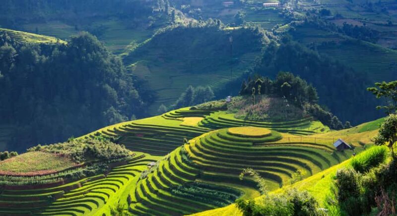 Sapa: Y Linh Ho, Muong Hoa Valley Trek & Village Experience - Key Points