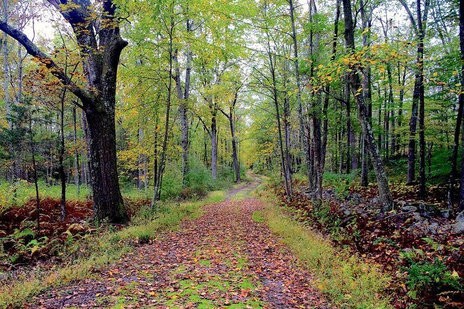 Sapadere Canyon Hiking Tour From Alanya - The Sum Up: Is It Worth Your Time and Money?