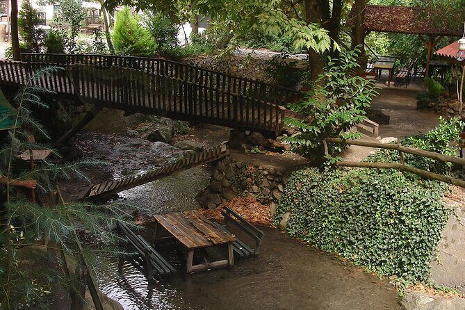 Sapanca and Masukiye Day Trip with Lunch and Hotel Transfer - Authentic Experiences and Traveler Feedback