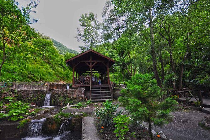 Sapanca and Masukiye Day Trip with Lunch and Hotel Transfer - The Sum Up
