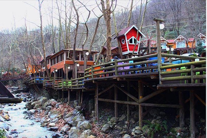 Sapanca and Zoo Private Tour From Istanbul - VIP Minivan - Best Quality - What the Reviews Say