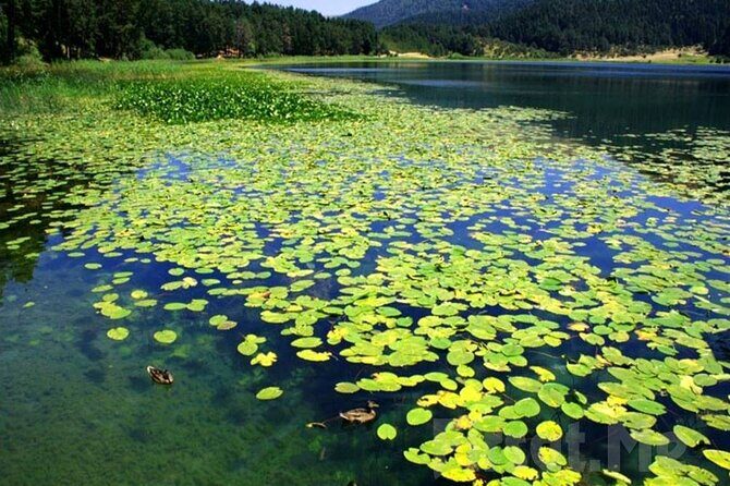 Sapanca Lake & Masukiye Tour From Istanbul - The Itinerary in Detail: What You Can Expect