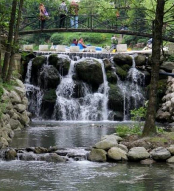 Sapanca & Masukiye Full-Day Tour with Lunch and Transfers - Who Should Consider This Tour?