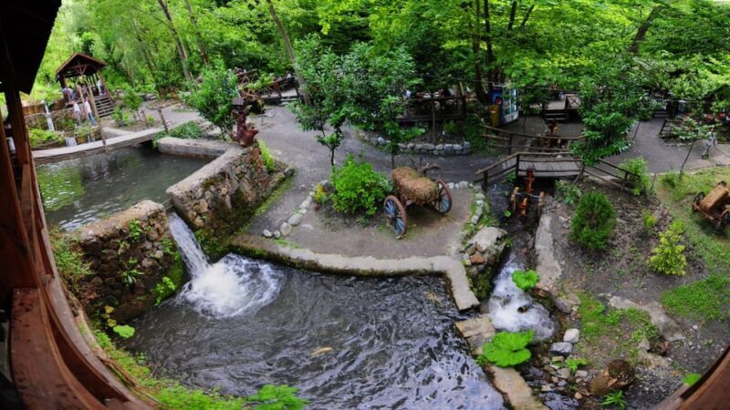 Sapanca Maukiye tour from Istanbul - What You Can Expect from the Tour