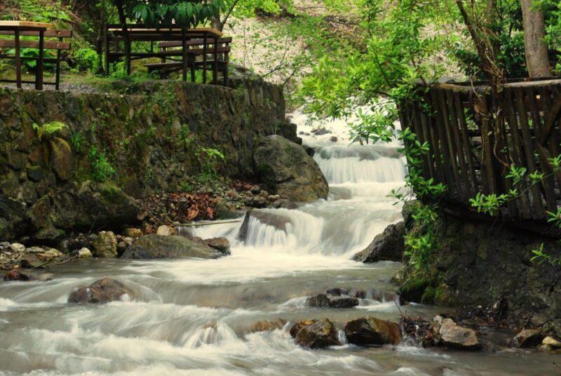 Sapanca Maukiye tour from Istanbul - The Experience of the Tour