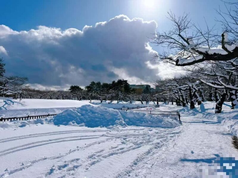 Sapporo: 4-Day Hakodate, Lake Toya, & Noboribetsu Tour - Practicalities and value