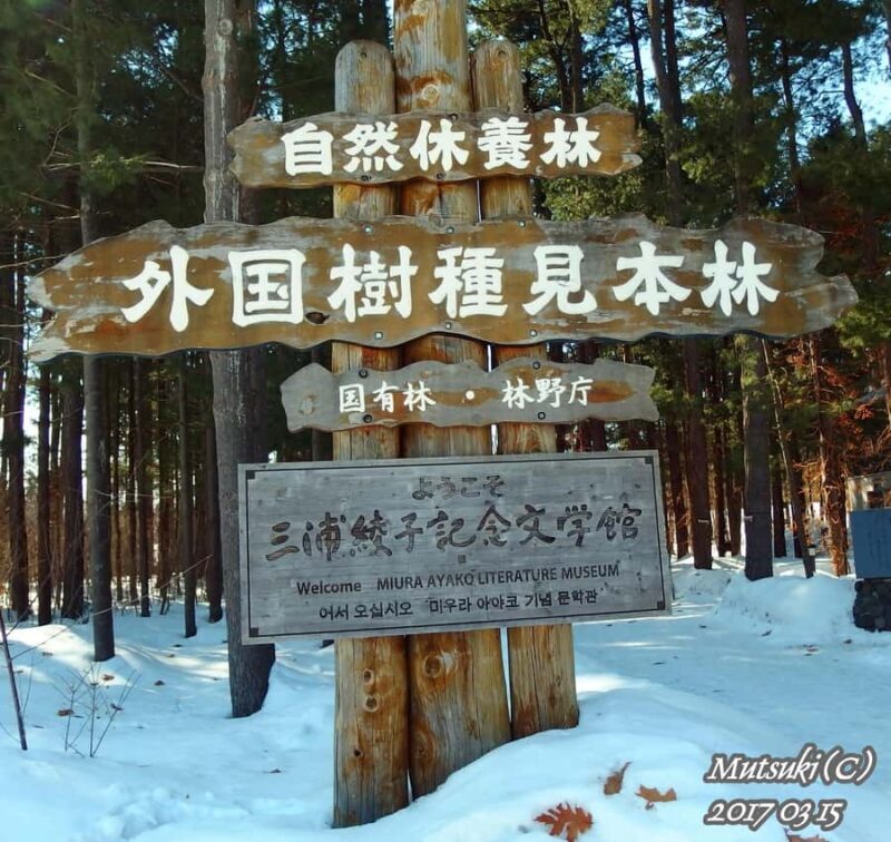 Sapporo: Asahikawa,Biei and Furano day Tour in small group - Who Should Consider This Tour?