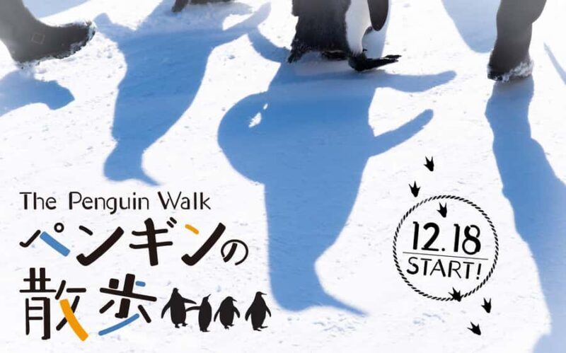 Sapporo: Asahikawa,Biei and Furano day Tour in small group - FAQ