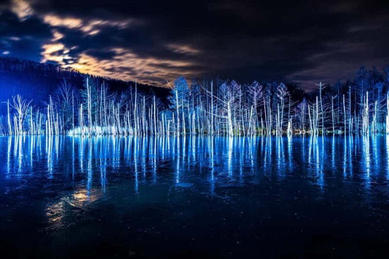 Sapporo: Asahiyama Zoo and Blue Pond Day Trip - Key Points