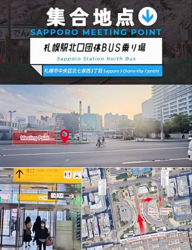 Sapporo: Asahiyama Zoo and Ningle Terrace Trip /w Pickup - The Bottom Line