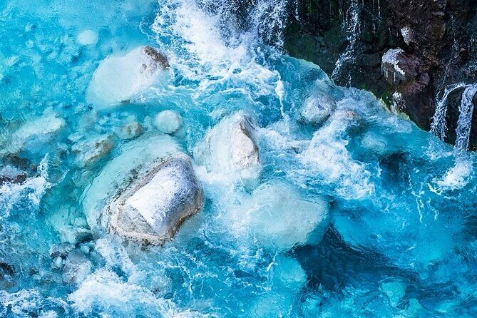 Sapporo: Asahiyama Zoo and Shirahige Falls Trip /w Hotel Pickup - A Deep Dive into the Tour Experience