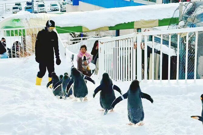 Sapporo: Asahiyama Zoo and Shirahige Falls Trip /w Hotel Pickup - The Sum Up