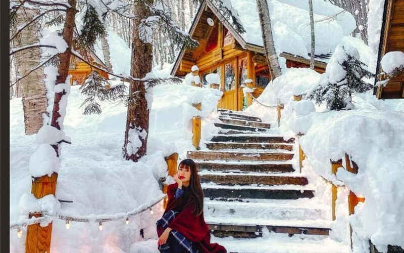 Sapporo: Asahiyama Zoo and Shirahige Falls Trip /w Pickup - An In-Depth Look at the Tour Experience