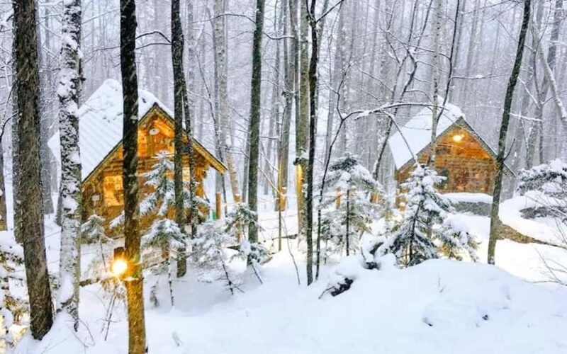 Sapporo: Asahiyama Zoo and Shirahige Falls Trip /w Pickup - FAQ