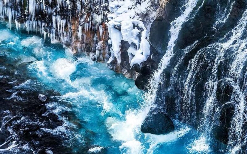 Sapporo: Asahiyama Zoo, Snow Activity, & Ningle Terrace Tour - Exploring the Hokkaido Winter with the Sapporo: Asahiyama Zoo, Snow Activity & Ningle Terrace Tour