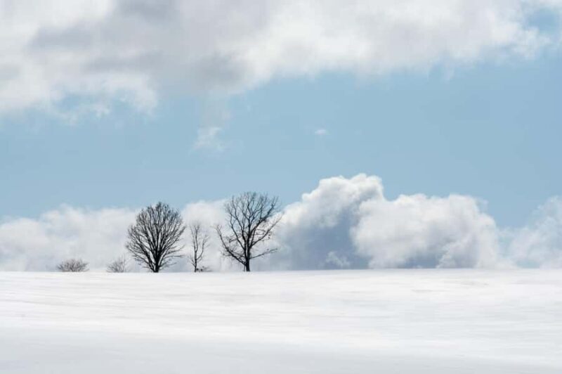 Sapporo Asahiyama Zoo, Tree Spot & Waterfalls Day Tour - FAQ