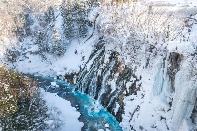 Sapporo: Biei Best 5 Must-Visit Day Tour (Late Departure) - Who This Tour Is Best For