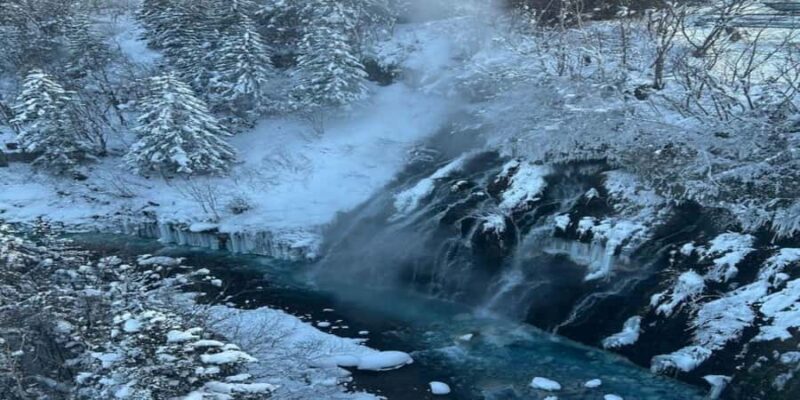 Sapporo: Biei & Furano Private Tour with Hot Spring - An Authentic Look at the Experience