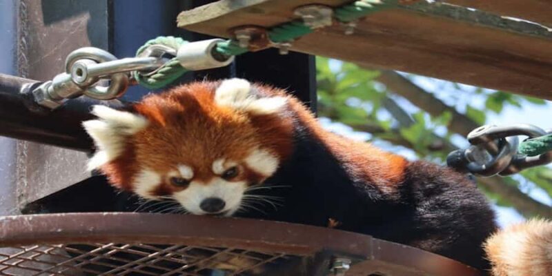 Sapporo: Biei & Furano Private Tour with Hot Spring - Who This Tour Is Best For