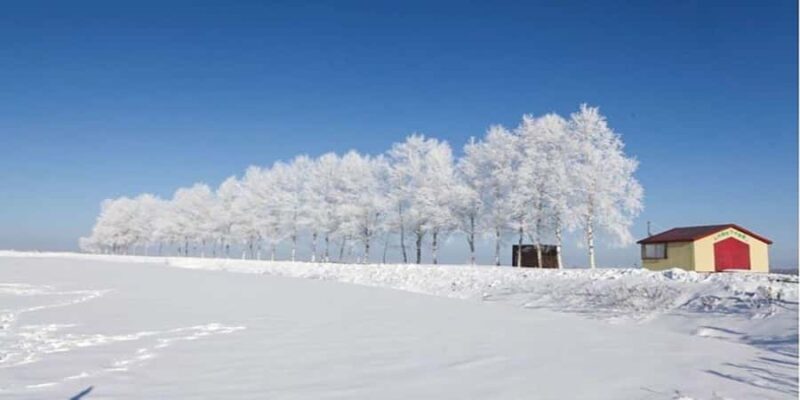 Sapporo: Biei & Furano Private Tour with Hot Spring - The Sum Up