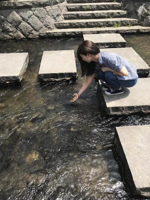 Sapporo: City Center History and Art Walking Tour - Exploring Sapporo: A Practical Guide to the City Center History and Art Walking Tour