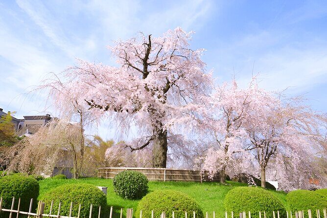 Sapporo City Discovery Private Tour - The Sum Up