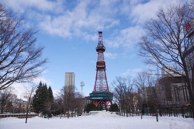 Sapporo Full-Day Tour by Minivan - What the Reviews Say