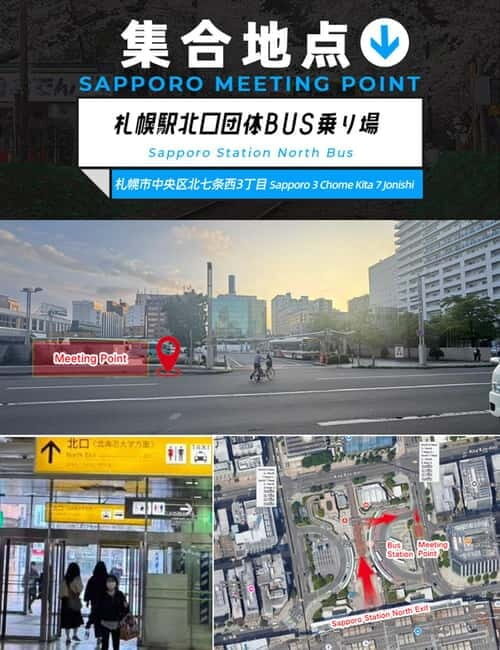 Sapporo: Furano Flower Sea & Biei Blue Pond Tour w/ Pickup - Practical Details and Considerations