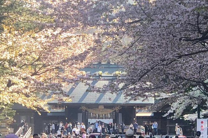 [Sapporo] Go by private car! Takino Cemetery, Hokkaido Shrine, Shiroi Koibito Park - Introduction