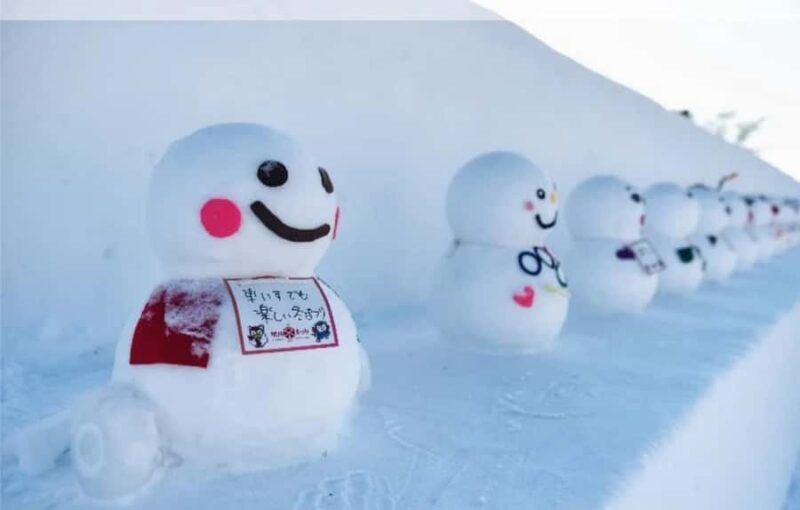 Sapporo: Heiwa-dori Ice Festival Private Day Tour - An In-Depth Look at the Experience