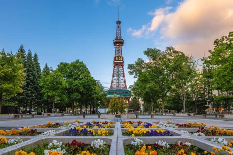 Sapporo Highlights: Art, Nature & Architecture Private Tour - Introduction: Why This Tour Might Be Your Sapporo Secret Weapon