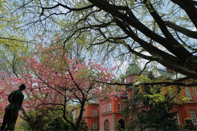 Sapporo History and Gourmet Walking Tour - Practical Considerations