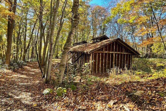 Sapporo: Hokkaido Historical Village Step into the Frontier - Who Should Consider This Tour?